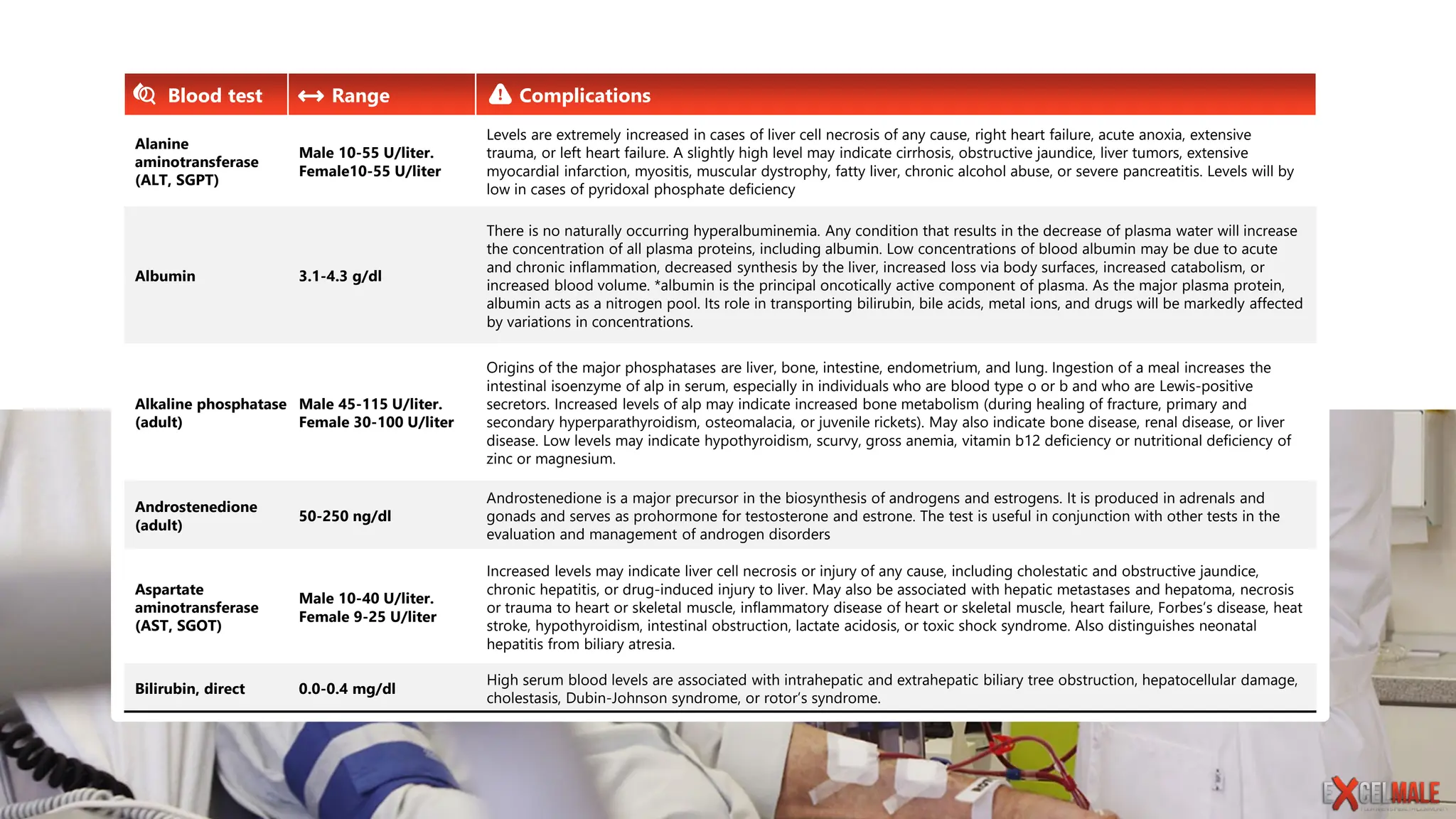 How to Read Blood Test Results- Discounted Labs | PDF