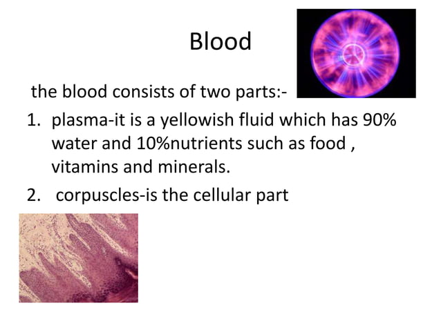 Blood {the circulating fluid in our body | PPT