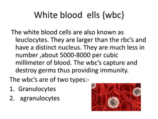 Blood {the circulating fluid in our body | PPTX
