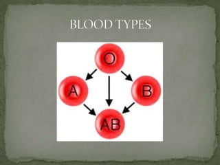 Blood transfusion | PPT