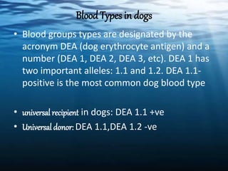 Blood transfusion | PPT
