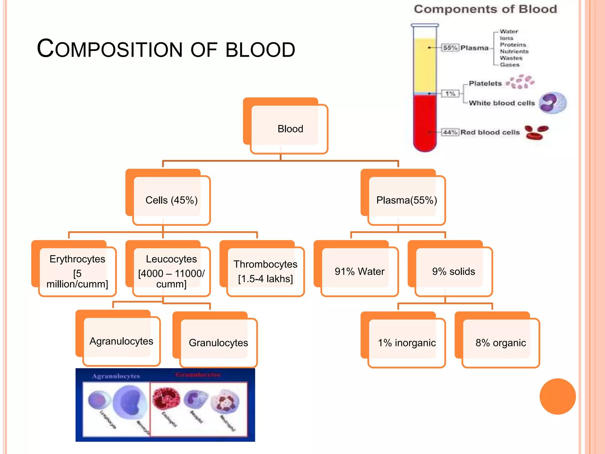 Blood transfusion | PPTX
