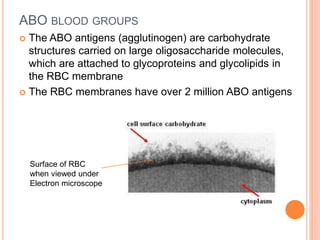 Blood transfusion | PPTX