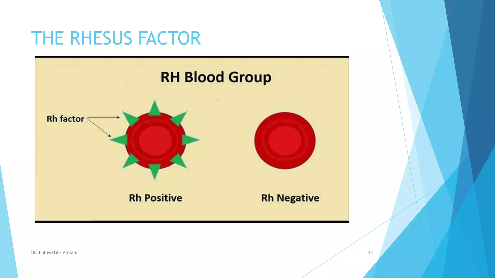 Blood Transfusion (Principles and procedure) | PPTX