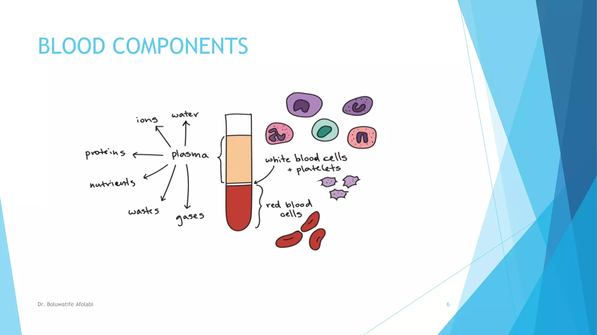 Blood Transfusion (Principles and procedure) | PPTX