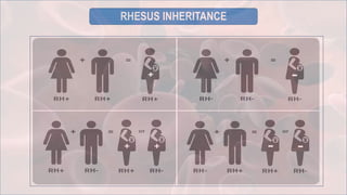 Hemovigilance and Rhogam.pptx