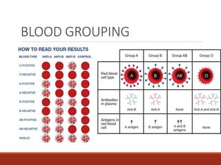 Blood Transfusion | PPT