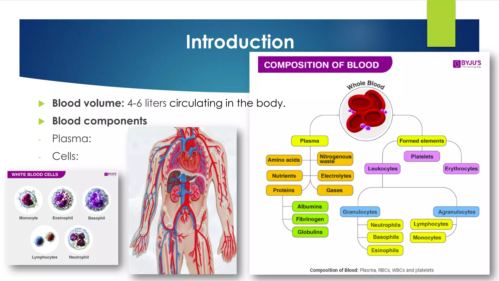 Blood transfusion.pdf