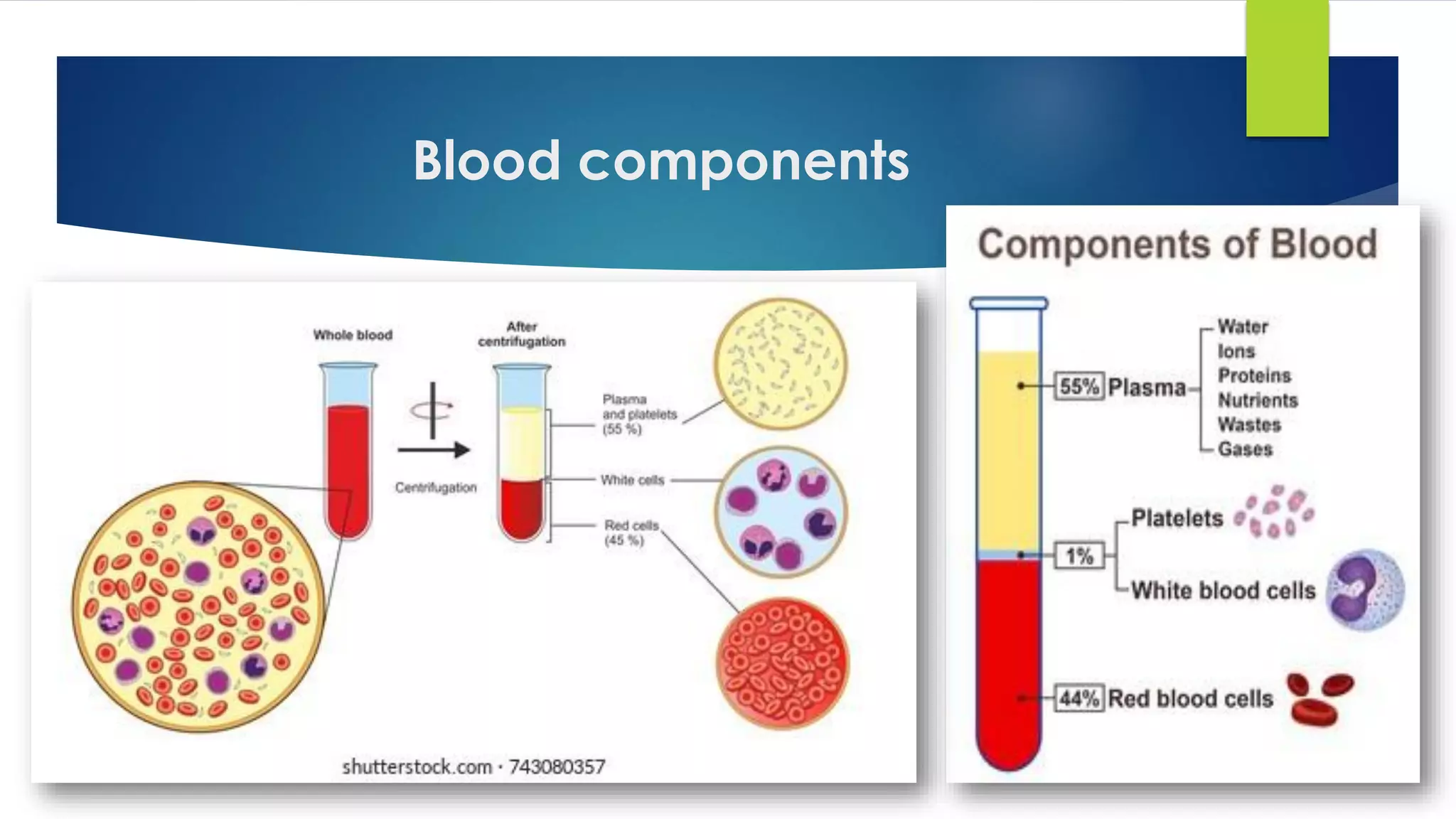 Blood transfusion.pdf