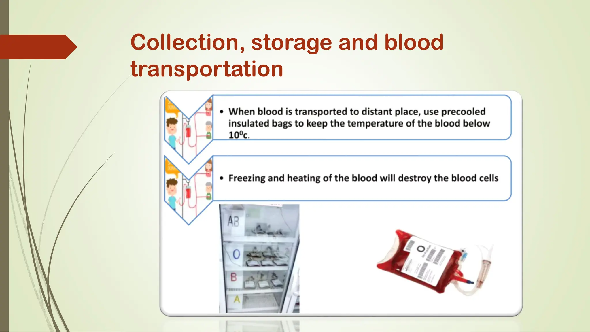 Blood Transfusion | Understanding the Essentials of Blood Transfusion ...