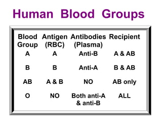 BLOOD TRANSFUSION. BLOOD GROUPING AND TRASFUSION | PPTX