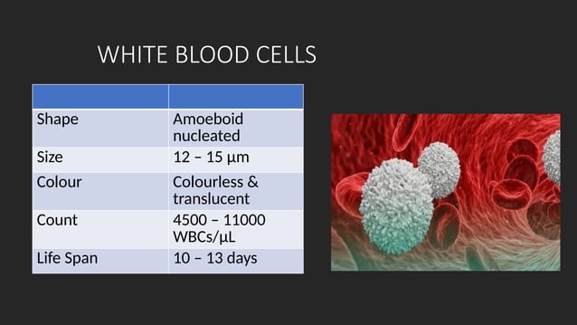 BLOOD TRANSFUSION.pptx on blood transfusion | PPT