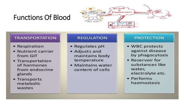 bloodtransfusion its reactions and blood products | PPT