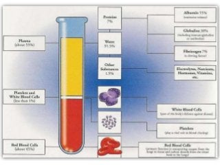 Blood transfusion and reactions | PPTX