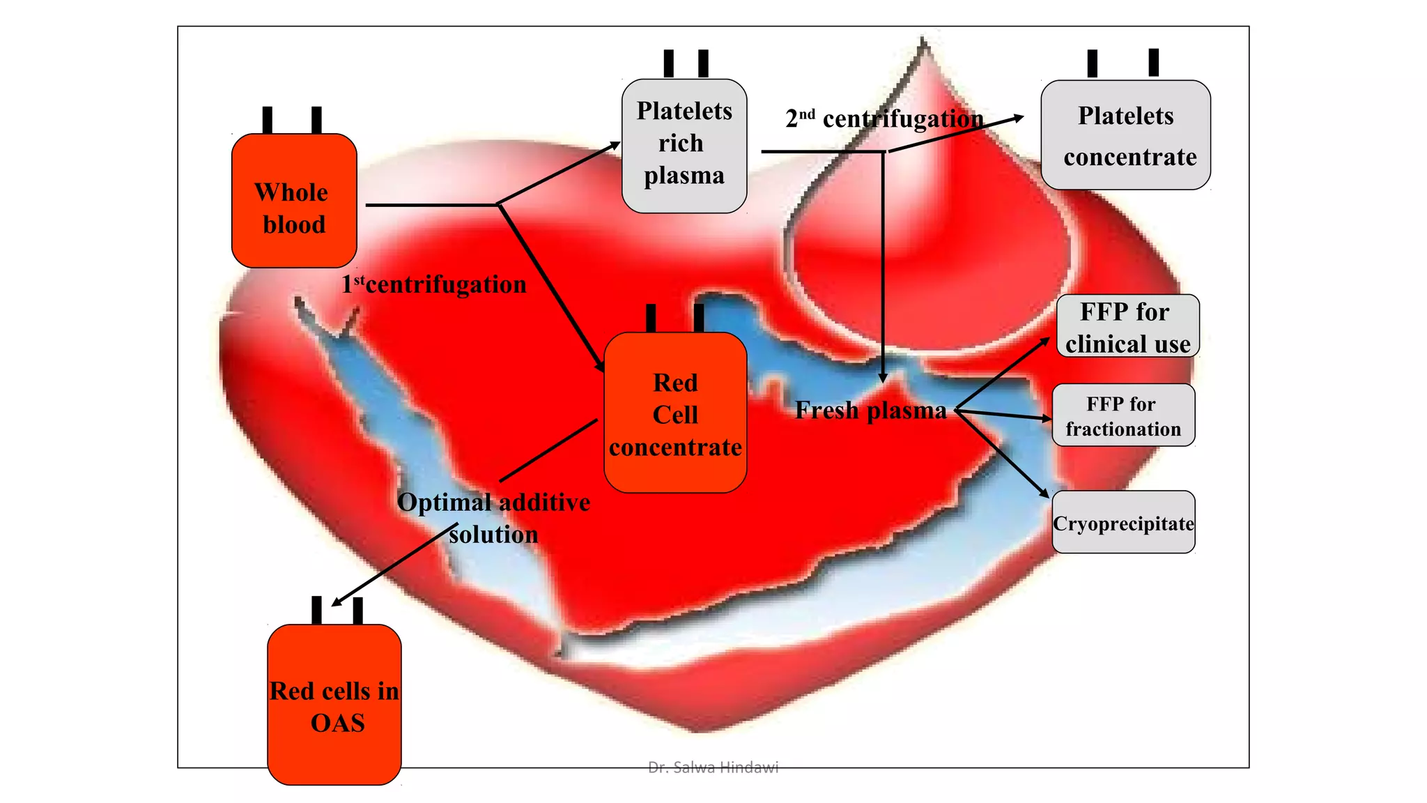 bloodtransfusionandtransfusionreactions-170124162247.pdf