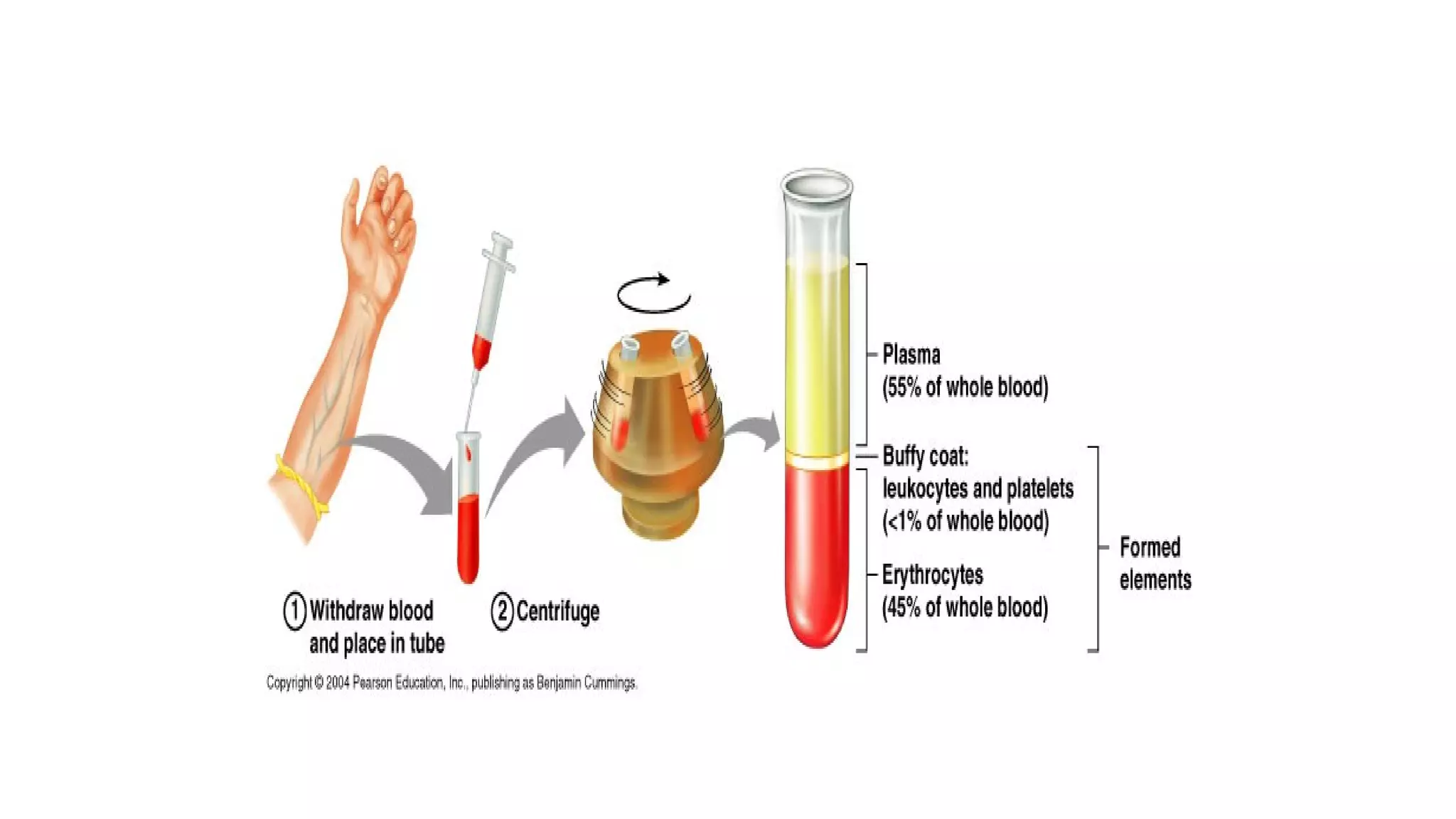Blood transfusion and transfusion reactions | PPT
