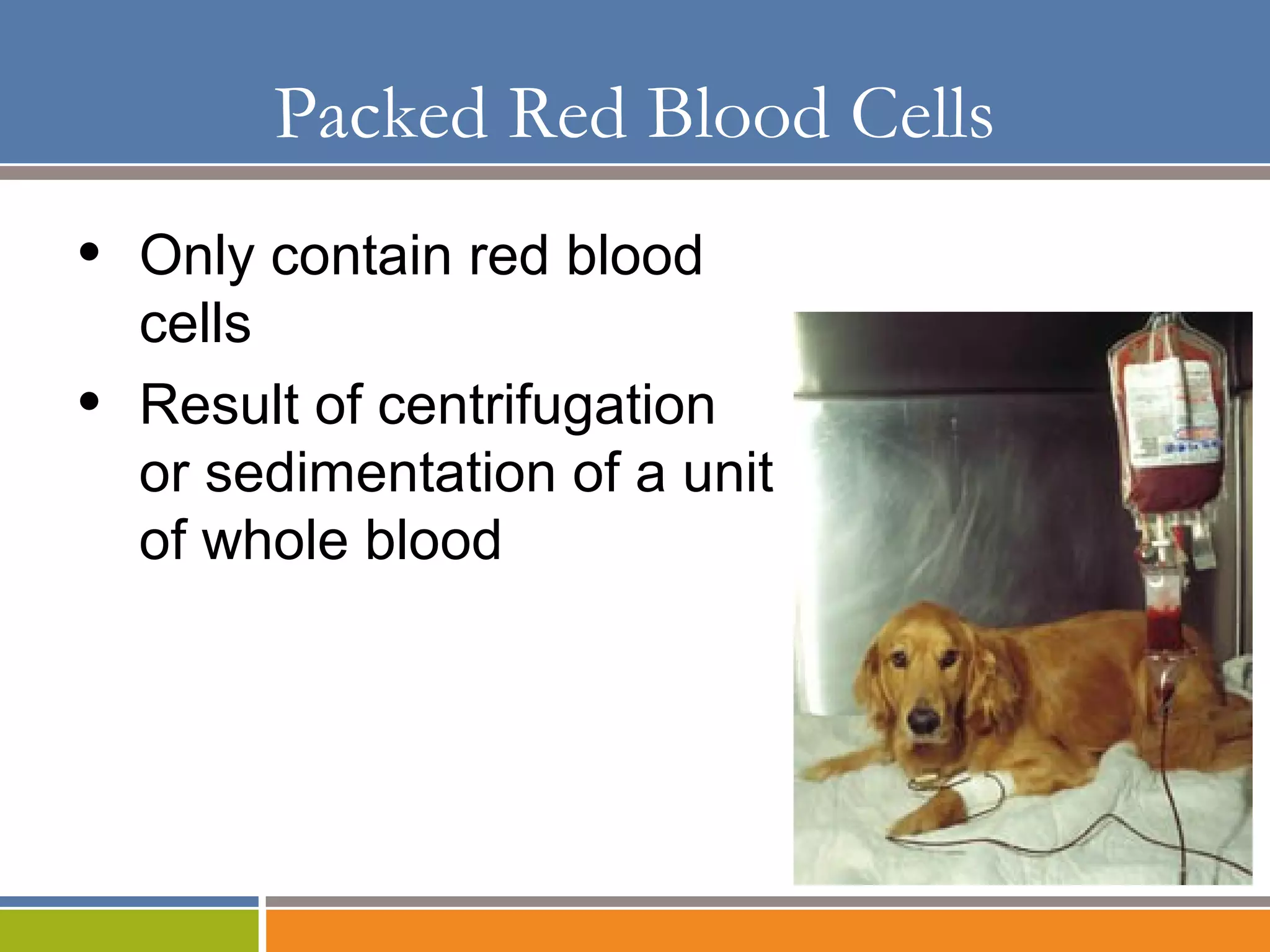 Blood Transfusion for the Veterinary Technician | PPT