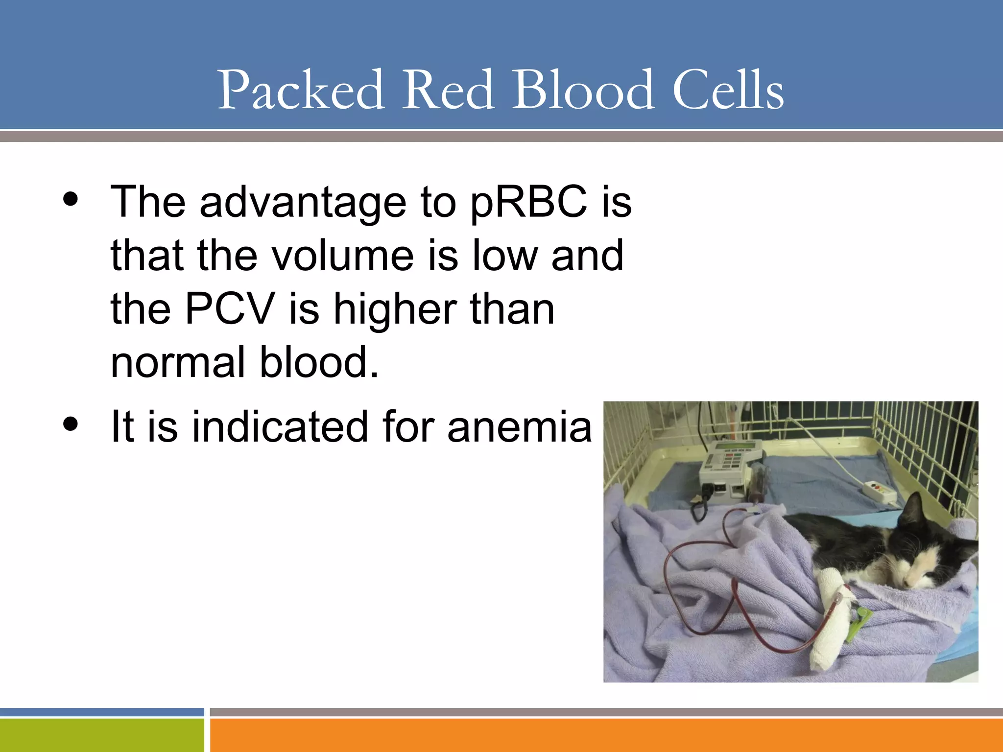 Blood Transfusion for the Veterinary Technician | PPT