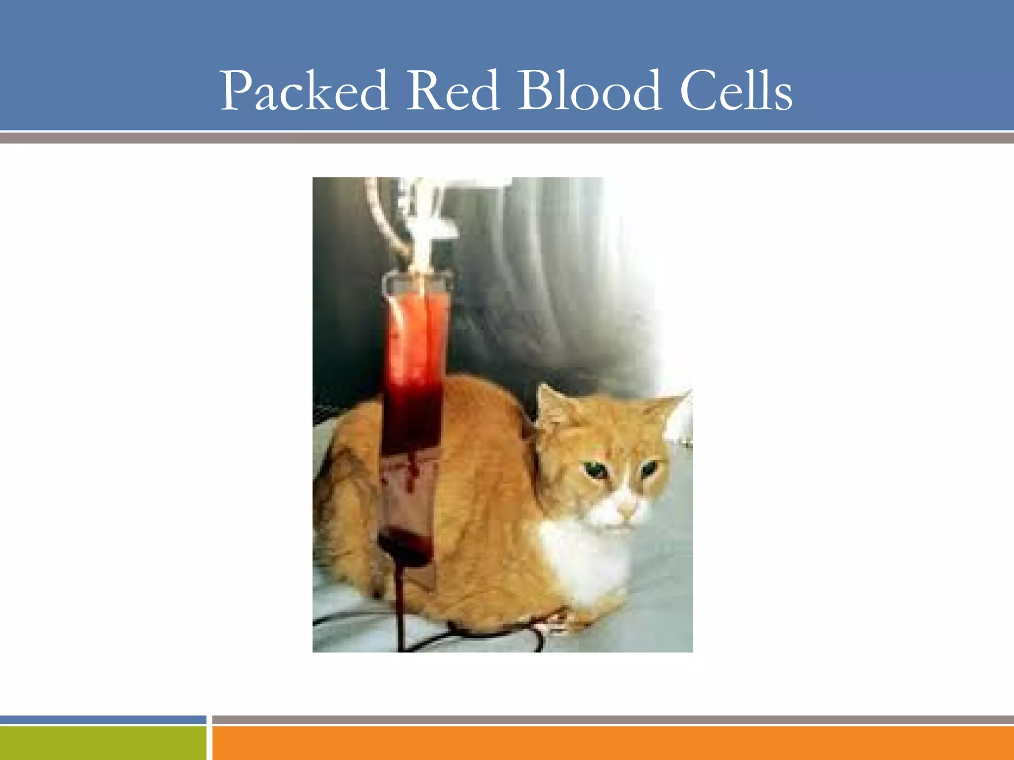 Blood Transfusion for the Veterinary Technician | PPT