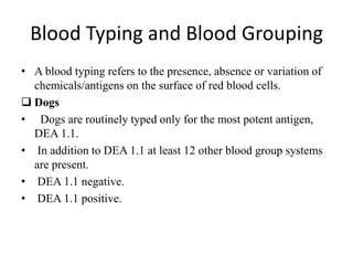 Blood transfusion in animals | PPTX