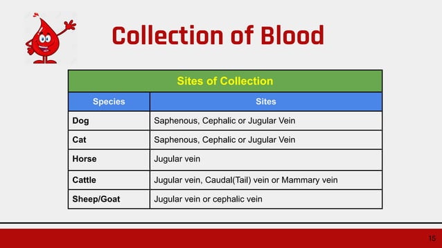 Blood Transfusion in Animals.pdf | Blood Disorders | Diseases and ...
