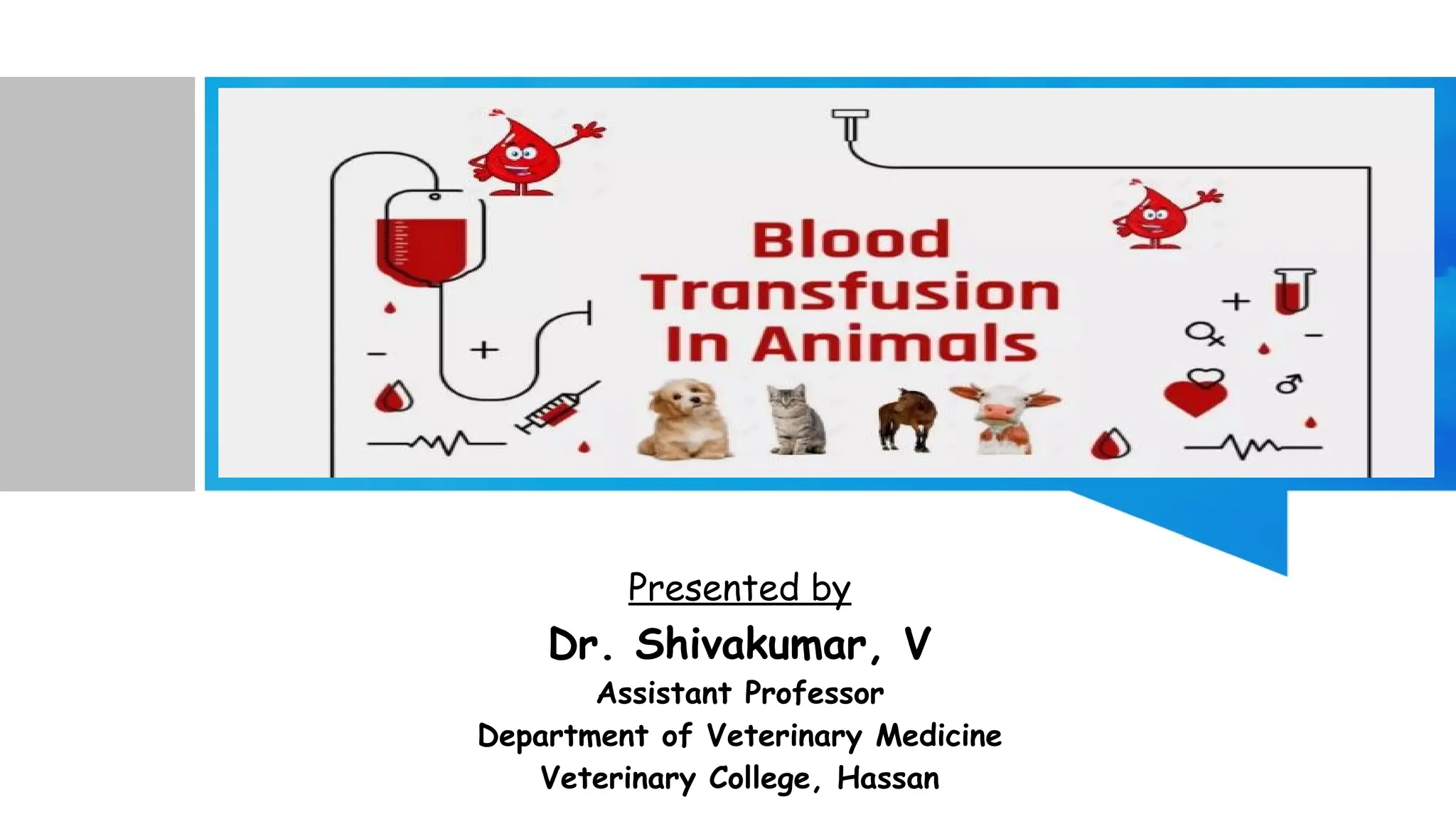 Blood transfusion in animals (veterinary).pptx