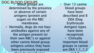 blood transfusion in dogs blood transfusion in small animals | PPTX