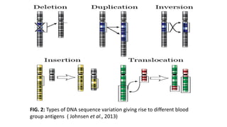 Blood transfusion in genomic era | PPTX | Blood Disorders | Diseases ...