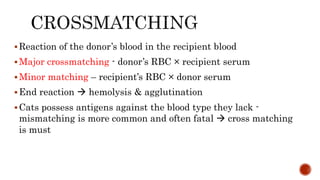 BLOOD TRANSFUSION IN SMALL ANIMALS- Dr. Bhavana Mohan.pptx
