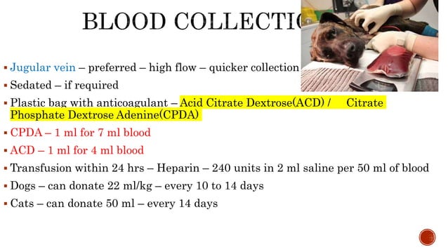 BLOOD TRANSFUSION IN SMALL ANIMALS- Dr. Bhavana Mohan.pptx | Blood ...