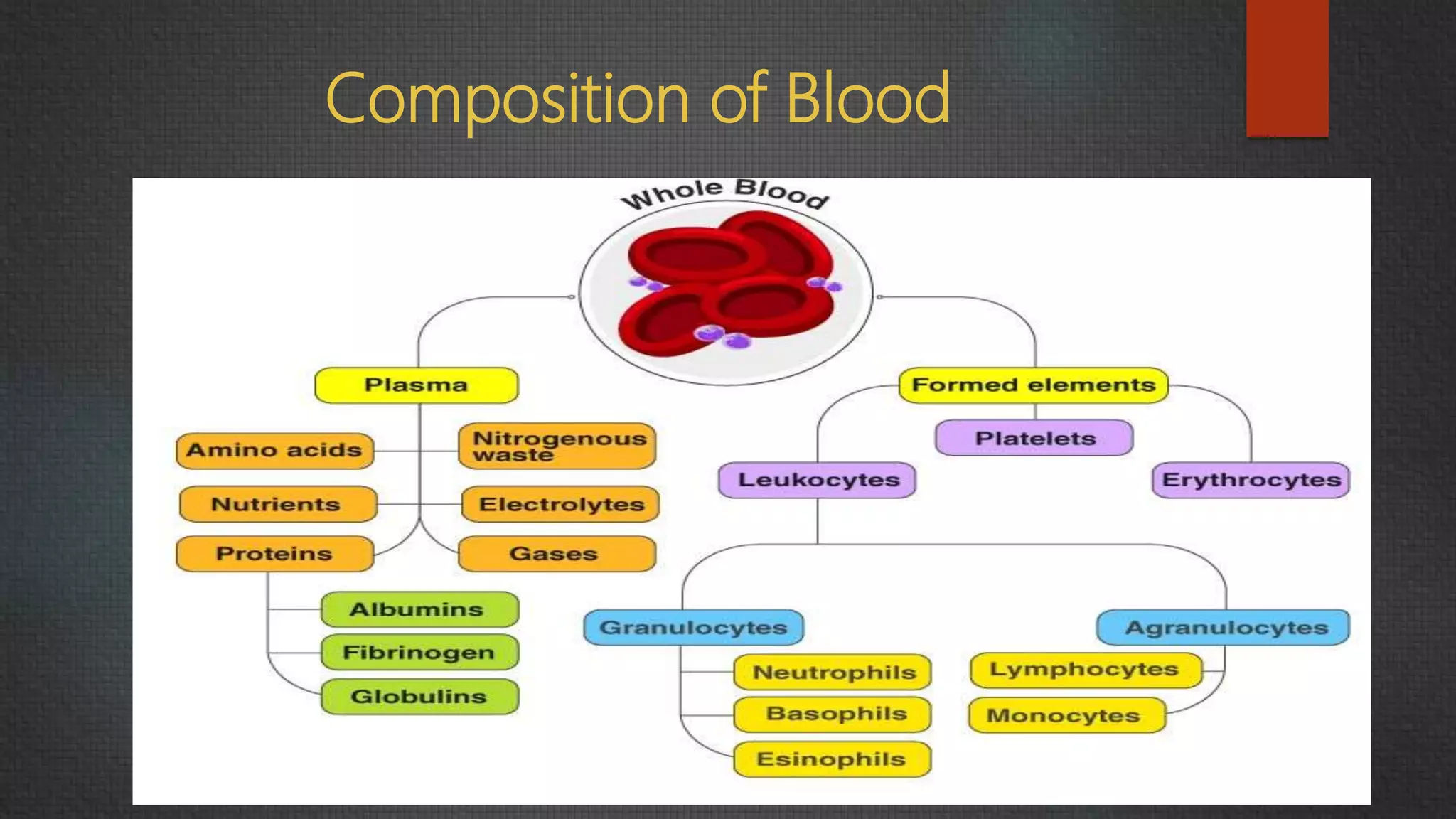 Blood transfusion lecture for mbbs | PPTX