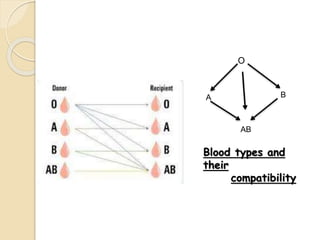 Blood transfusion pptn | PPTX