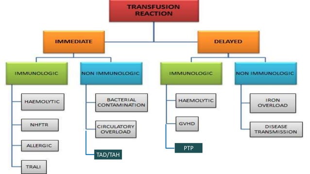 Blood transfusion Reactions Path - SLIDE SHARE.pptx | Blood Disorders ...