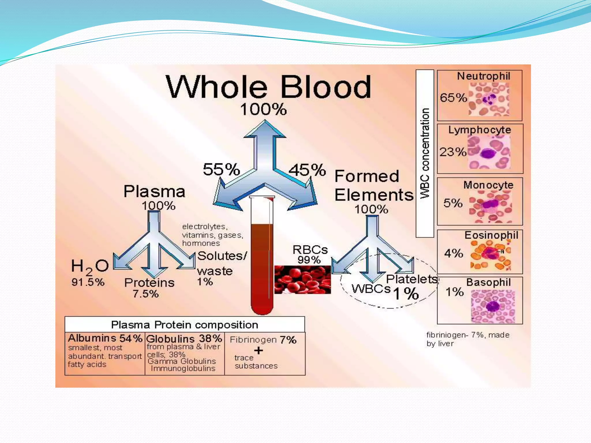 Blood transfusions ppt | PPTX