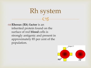 Blood trnsfusion | PPTX