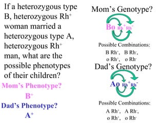 Bloodtypes | PPT