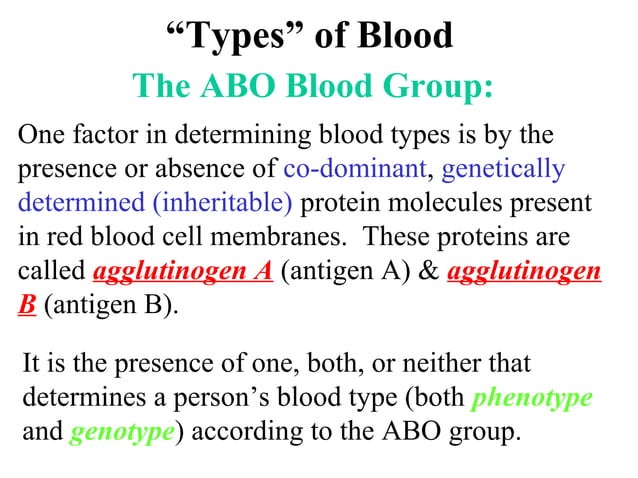 Bloodtypes | PPT