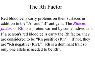 Bloodtypes | PPT