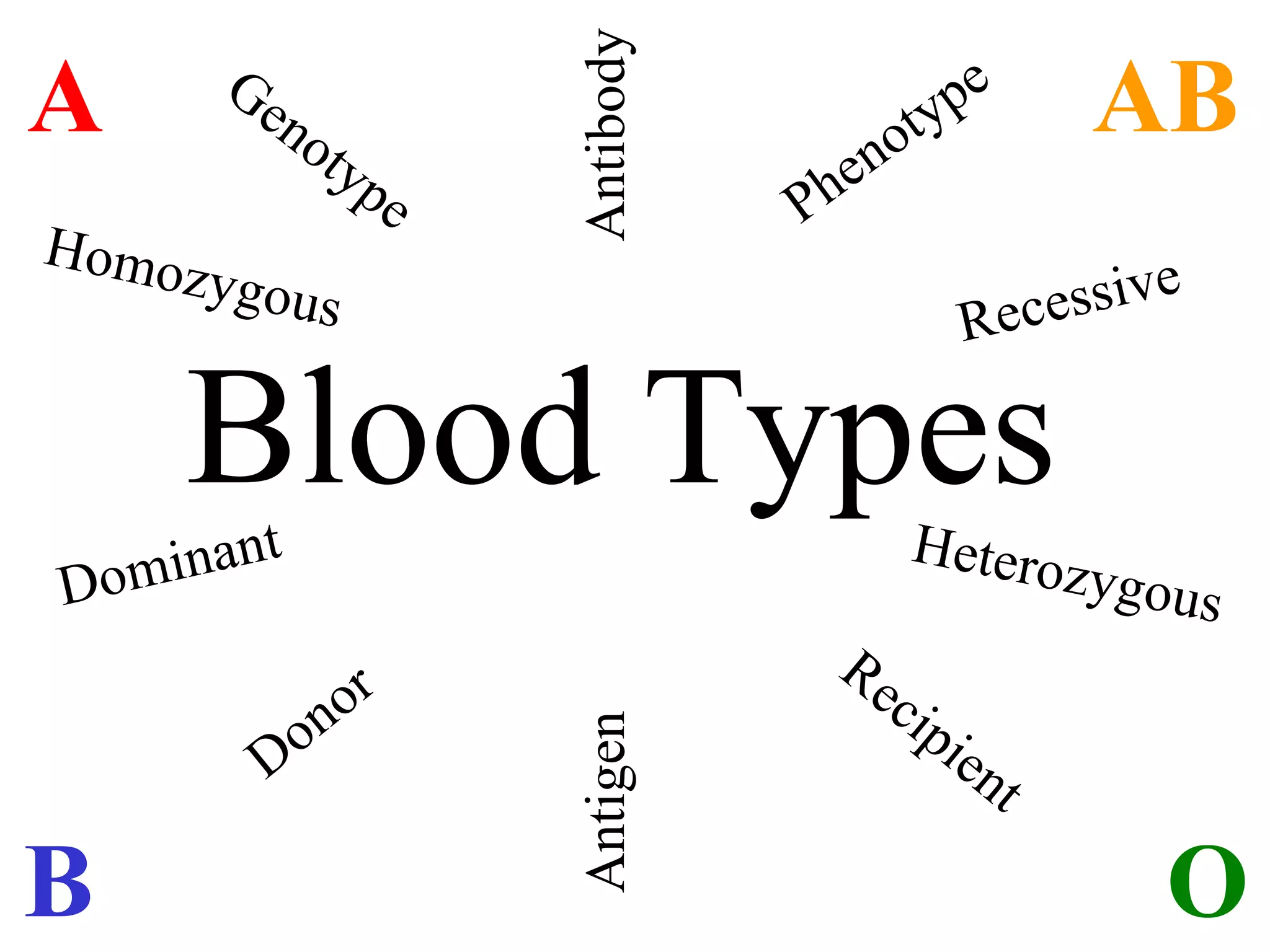 Blood types | PPT