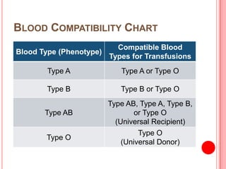 Blood Types | PPTX