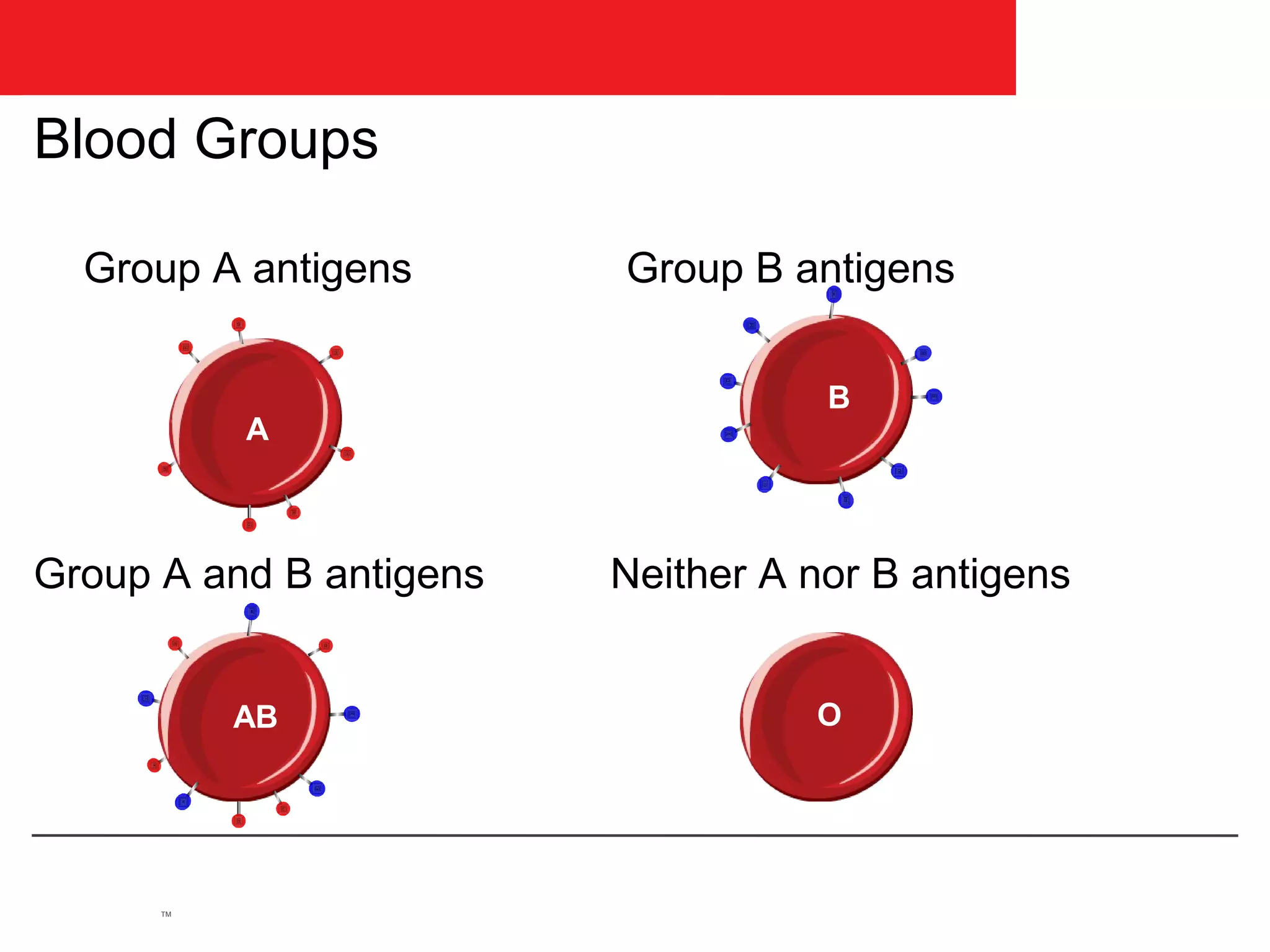 Blood types | PPT