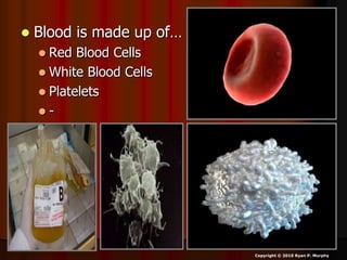 Blood Cells and Blood Type Lesson PowerPoint, Make Blood Soup | PPTX