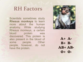 Blood types powerpoint presentation | PPTX