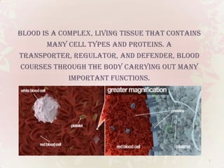 Blood types powerpoint presentation | PPTX