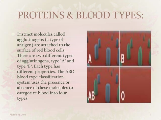 Blood types powerpoint presentation | PPTX | Blood Disorders | Diseases ...