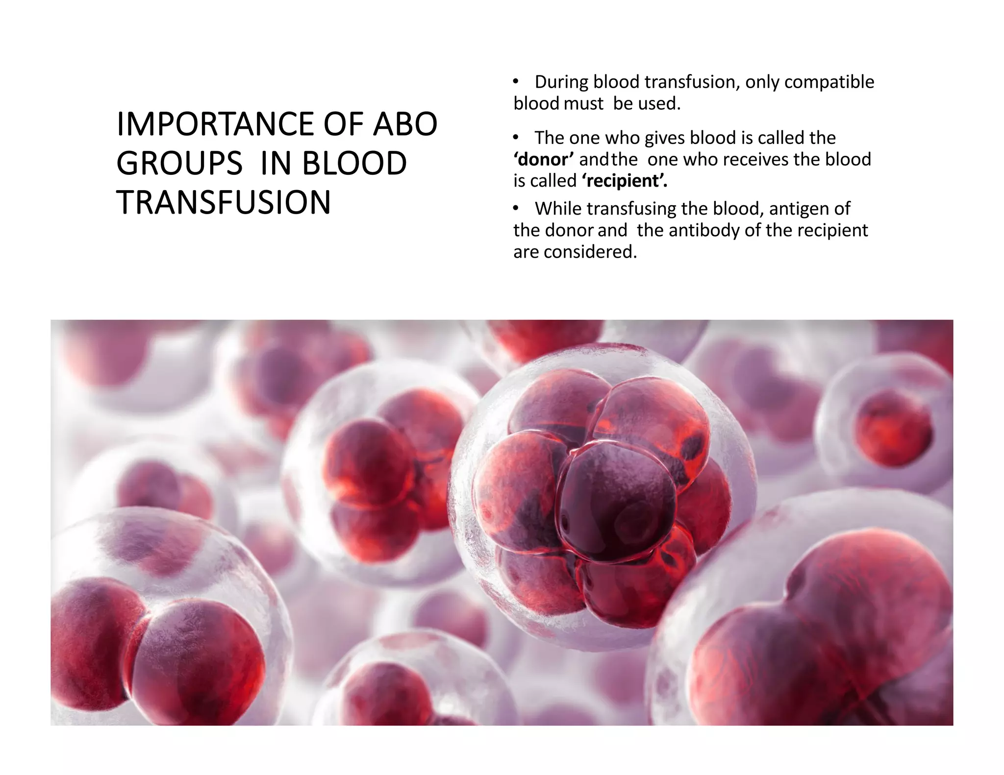 Blood Types and Blood Transfusion.pdf