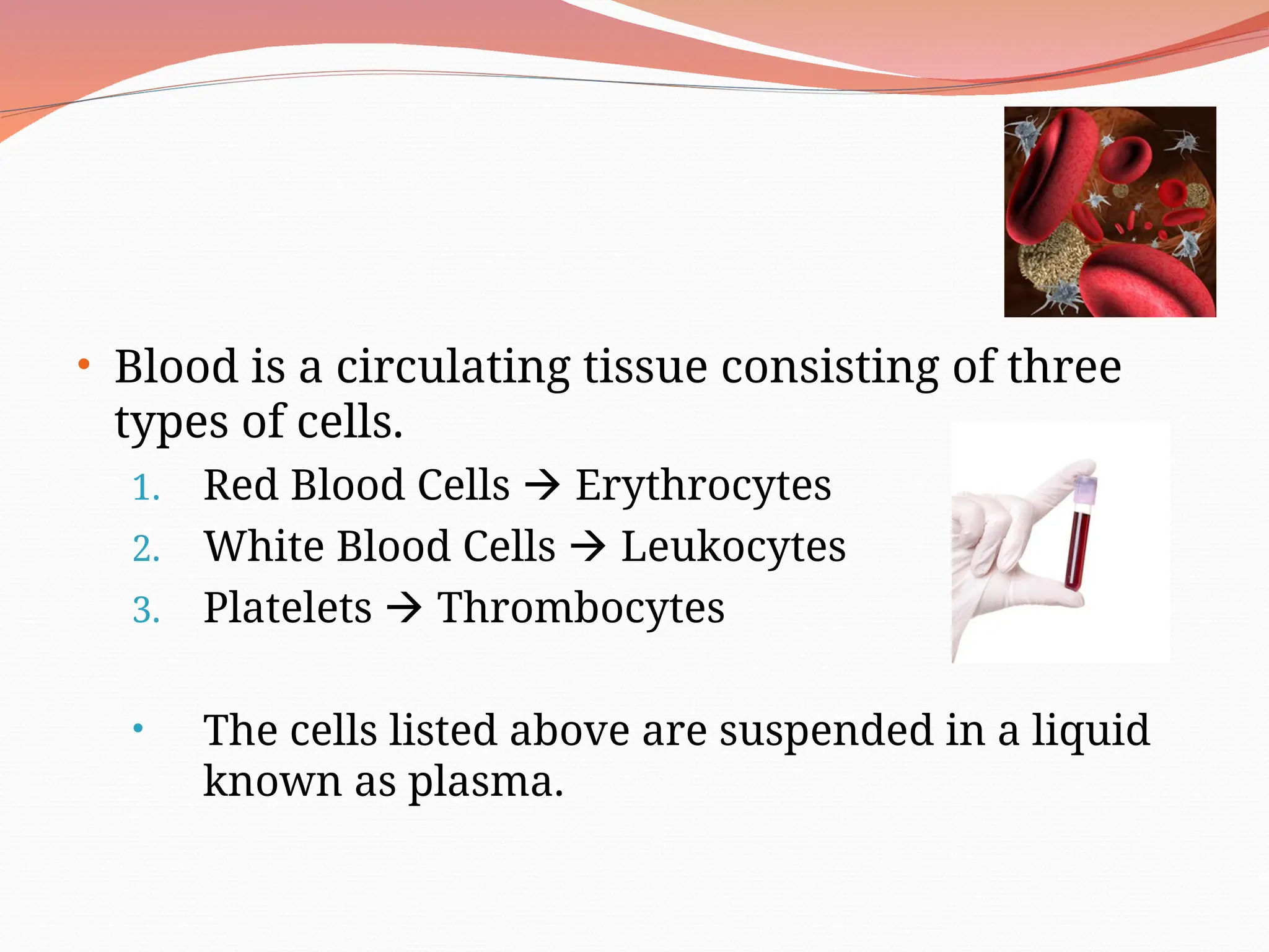 Blood types and functions.ppt........... | PPT
