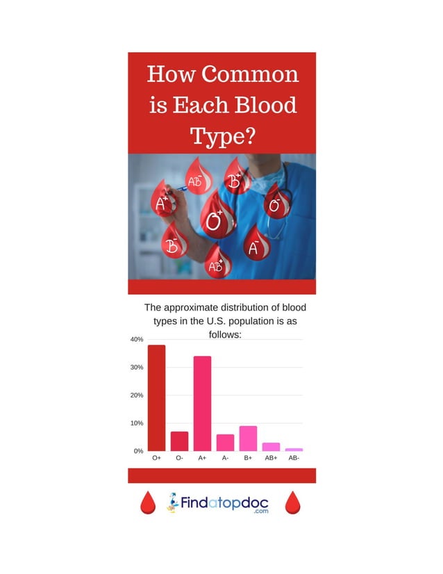 Blood types infographic | PDF | Blood Disorders | Diseases and Conditions
