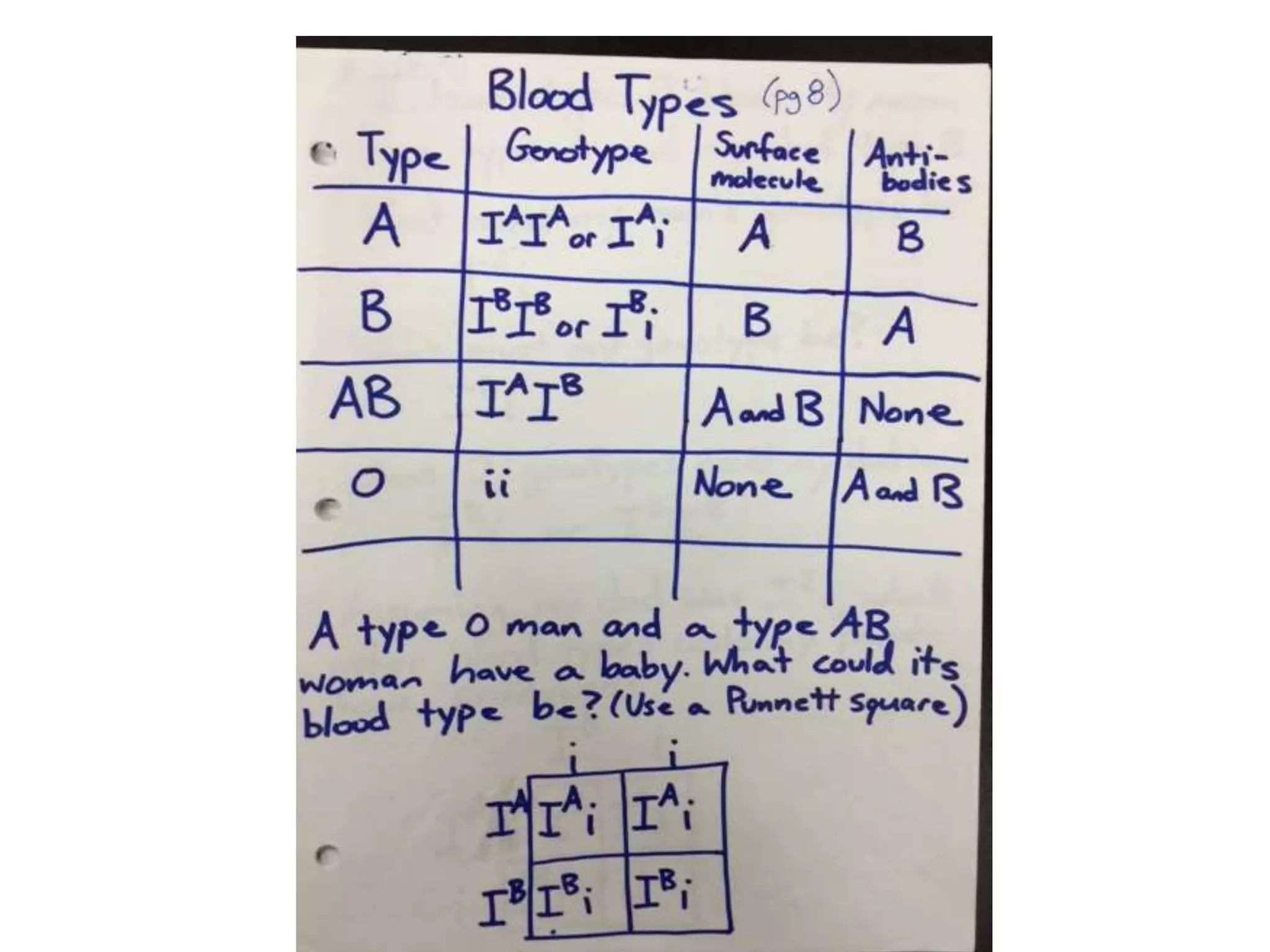 Blood types notes | PPTX