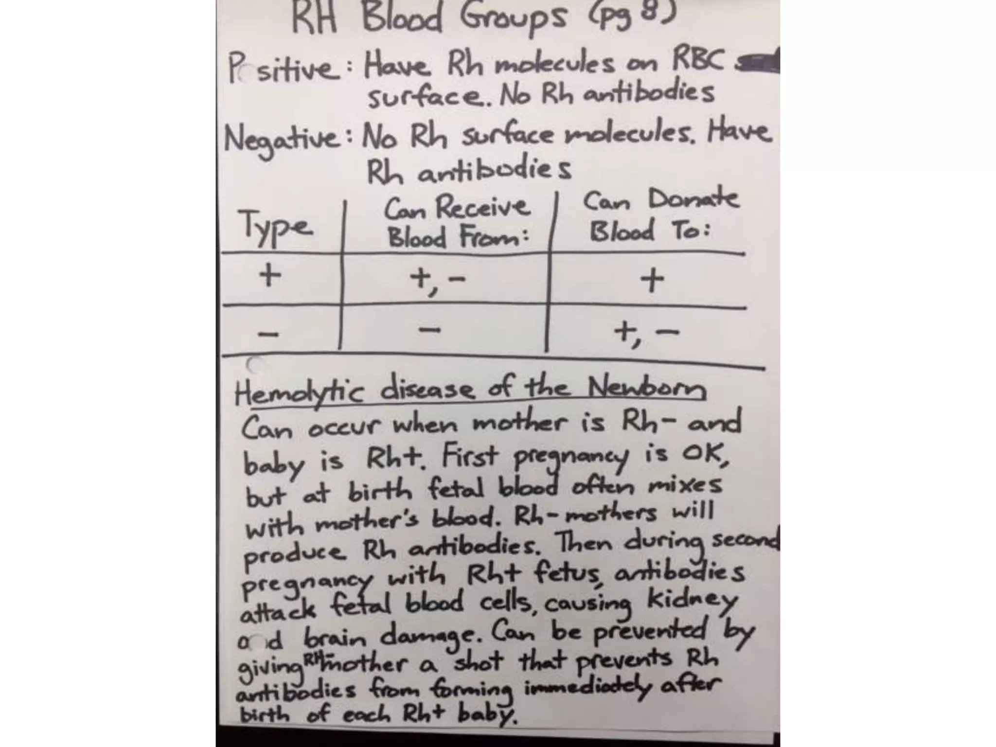 Blood types notes | PPTX